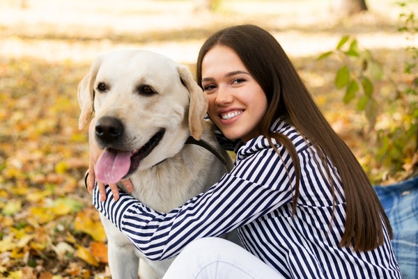 Más del 27% de los perros en México son ancianos | NEO